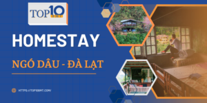 Top 10 Homestay Đà Lạt view đẹp, giá rẻ ở được nhiều người